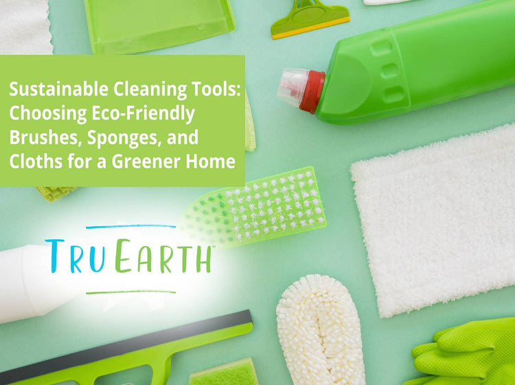 Sustainable Cleaning Tools: Choosing Eco-Friendly Brushes, Sponges, and ...