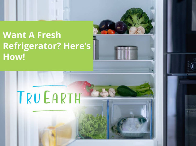 Want A Fresh Refrigerator? Here's How! – Tru Earth AU & NZ