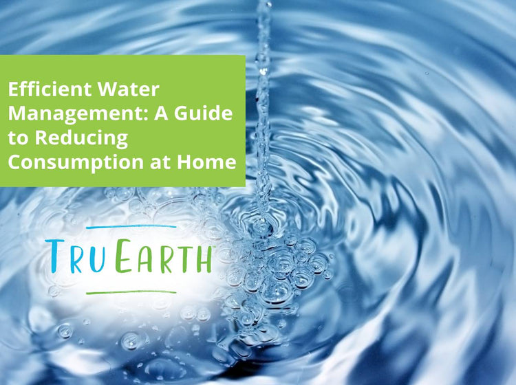 Efficient Water Management: A Guide to Reducing Consumption at Home ...